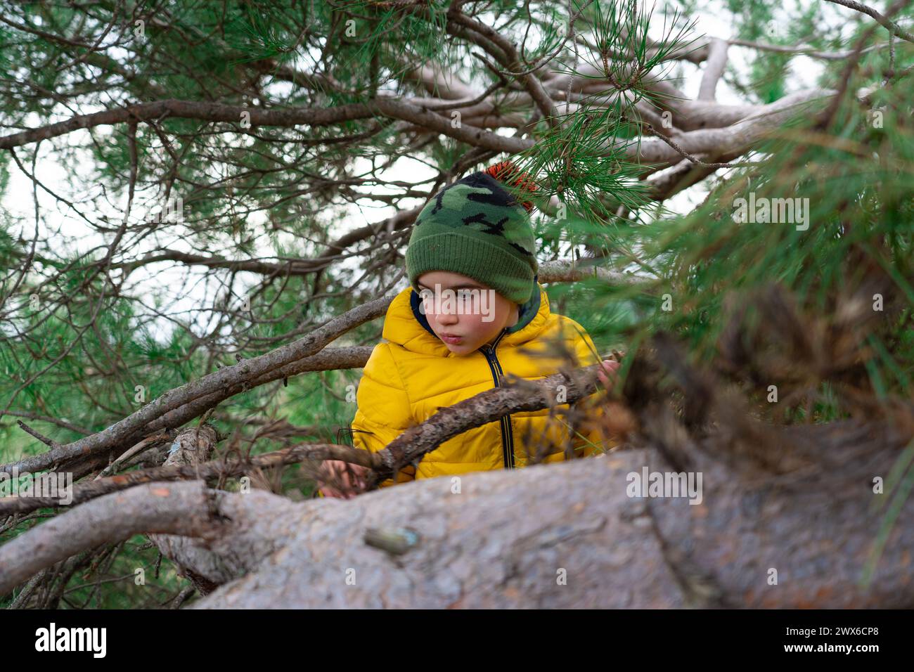 Boy playing with branches in nature Stock Photo - Alamy