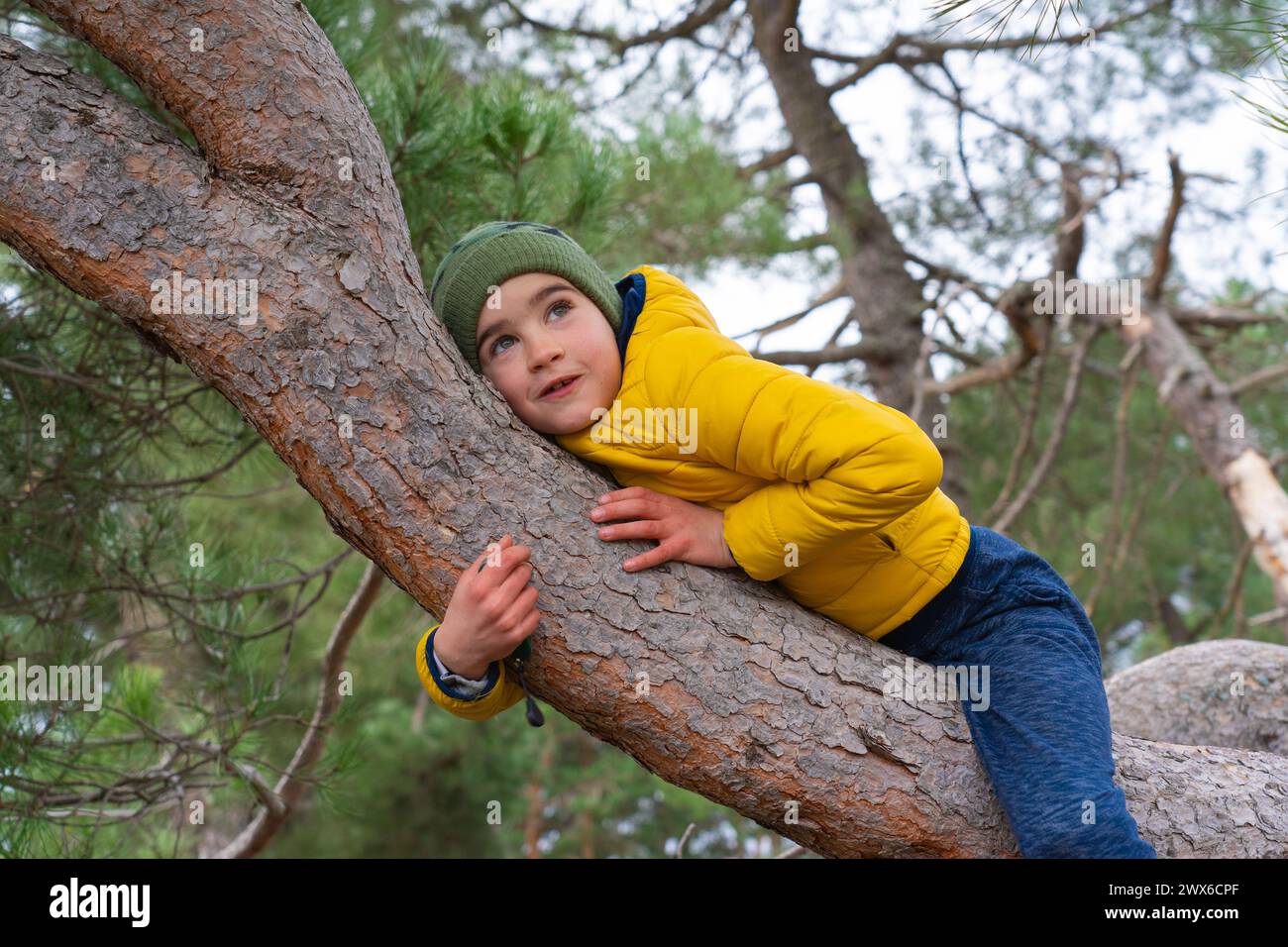 Boy resting in tree hi-res stock photography and images - Alamy