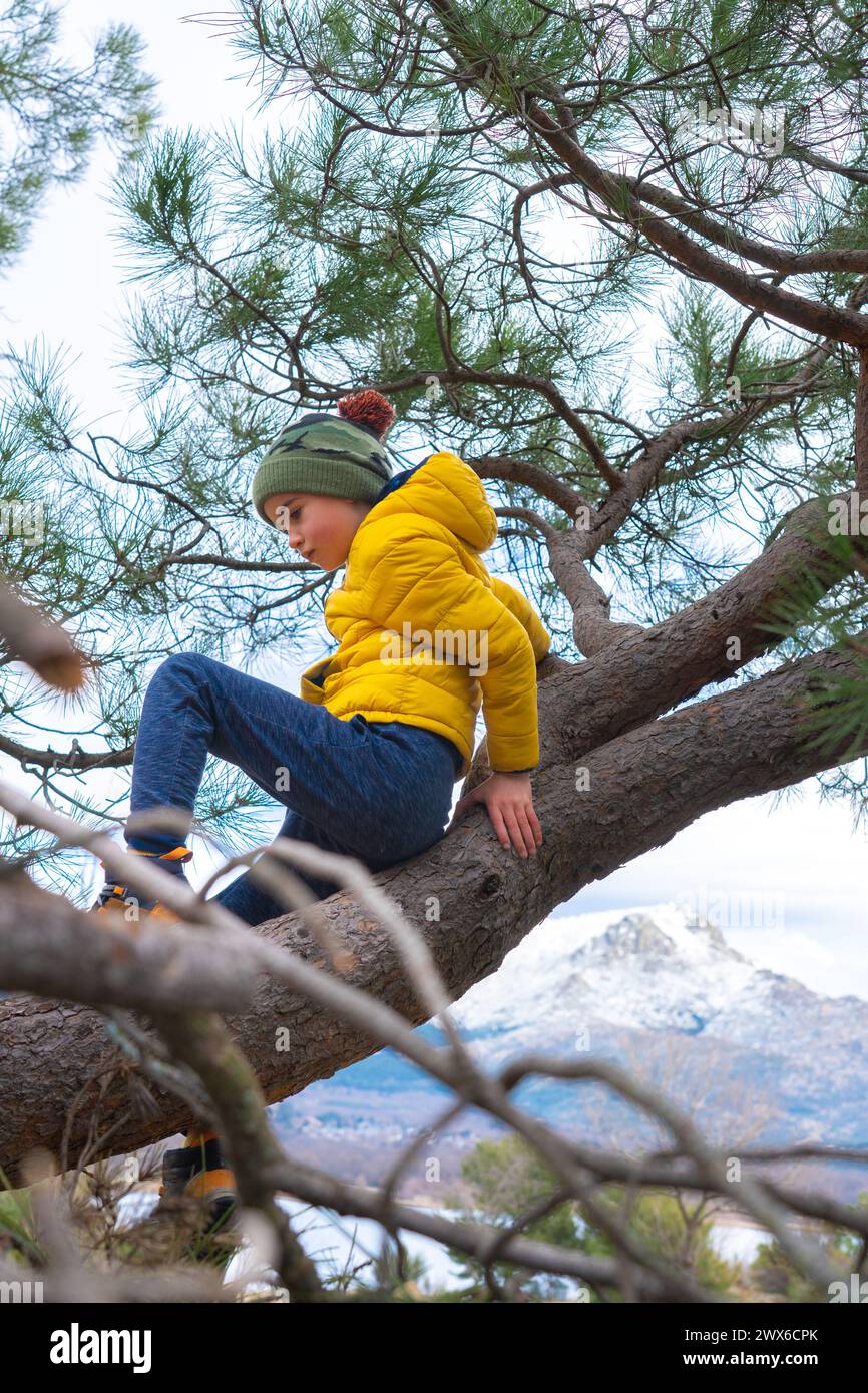 Boy climbing a pine tree with warm clothes Stock Photo - Alamy