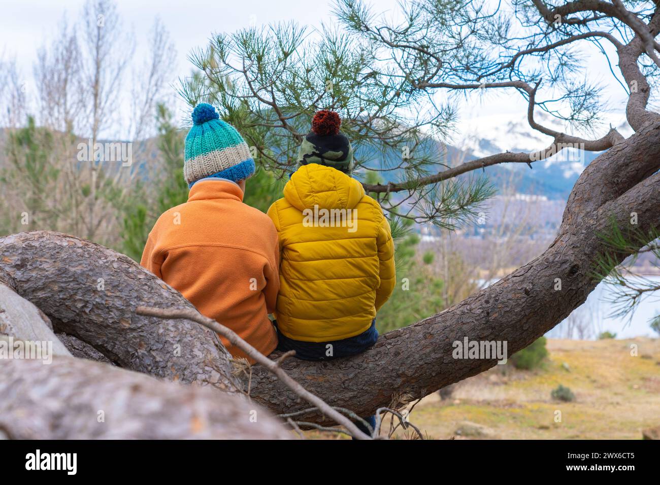 Two children sitting together on a tree branch in the forest looking ...