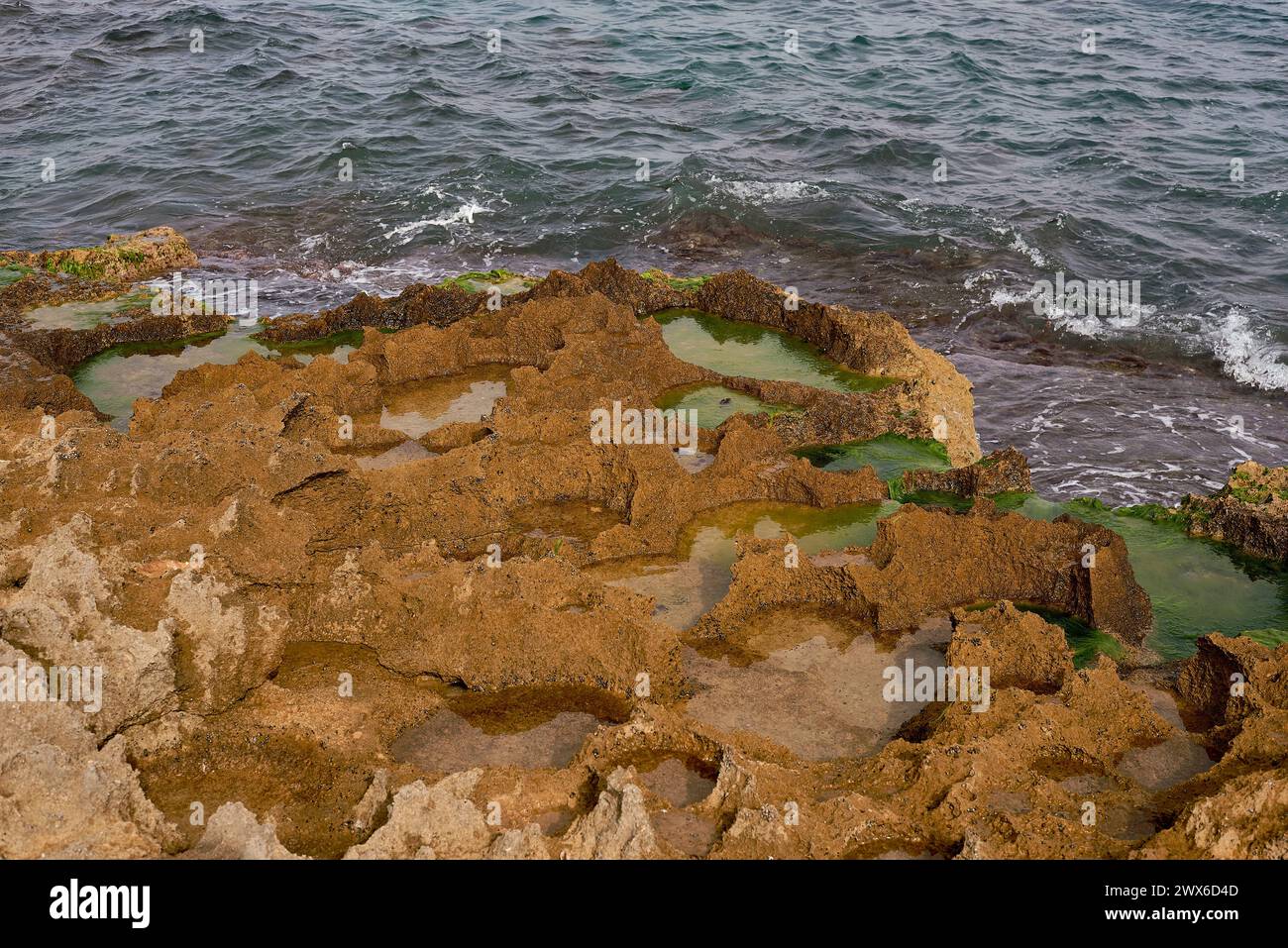A rocky beach with seaweed and waves lapping on it. rough water ...