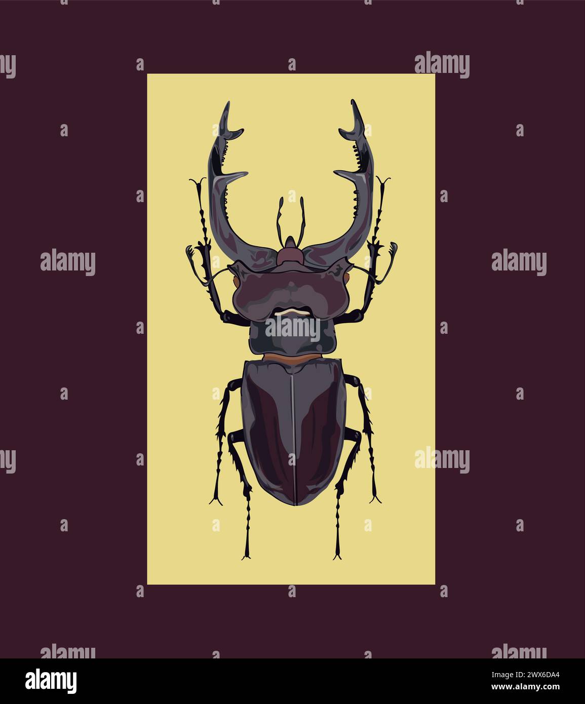 Lucanus cervus Stock Vector Images - Alamy