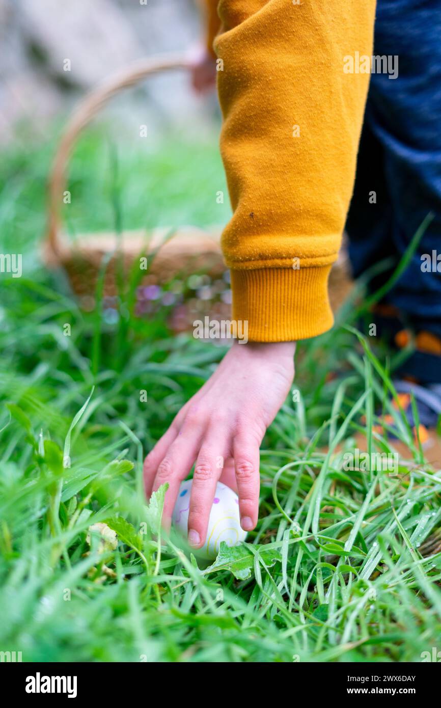 Child's hand picking up a hidden Easter egg Stock Photo - Alamy