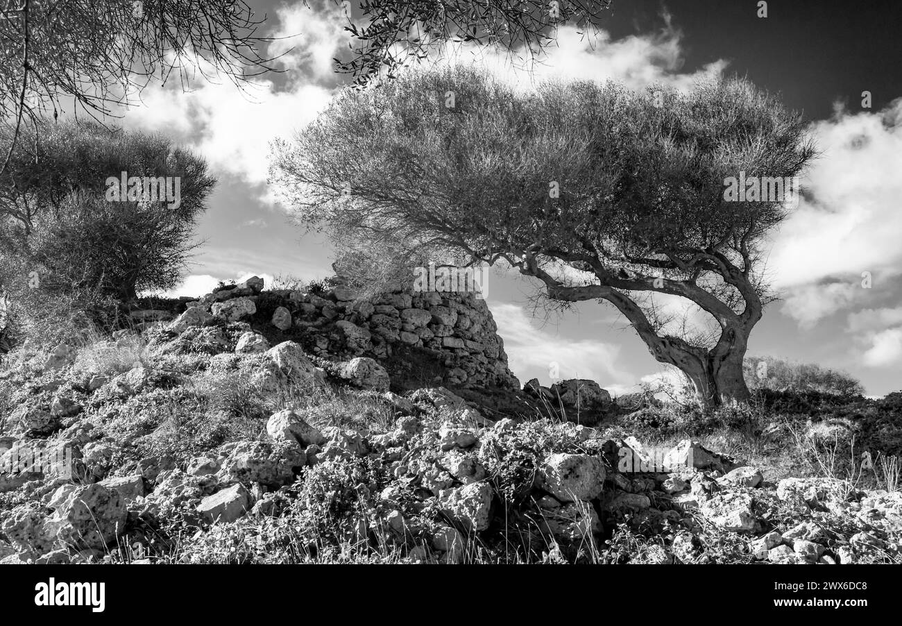 De dalt Black and White Stock Photos & Images - Alamy