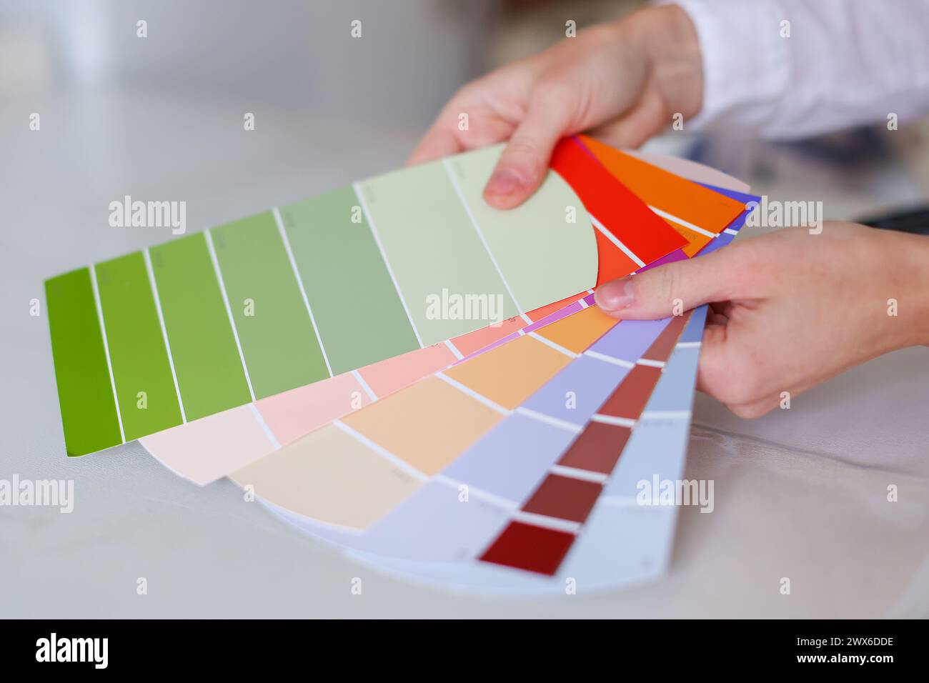 girl interior designer hold color palette, focus on a palette Stock ...