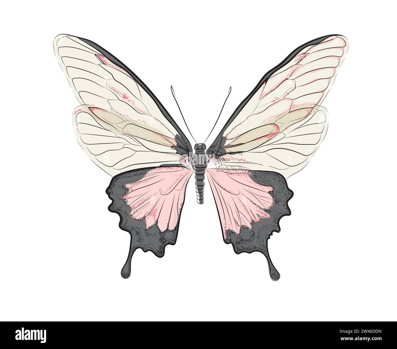 Pink butterfly, drawn with lines and dots Stock Vector Image & Art - Alamy