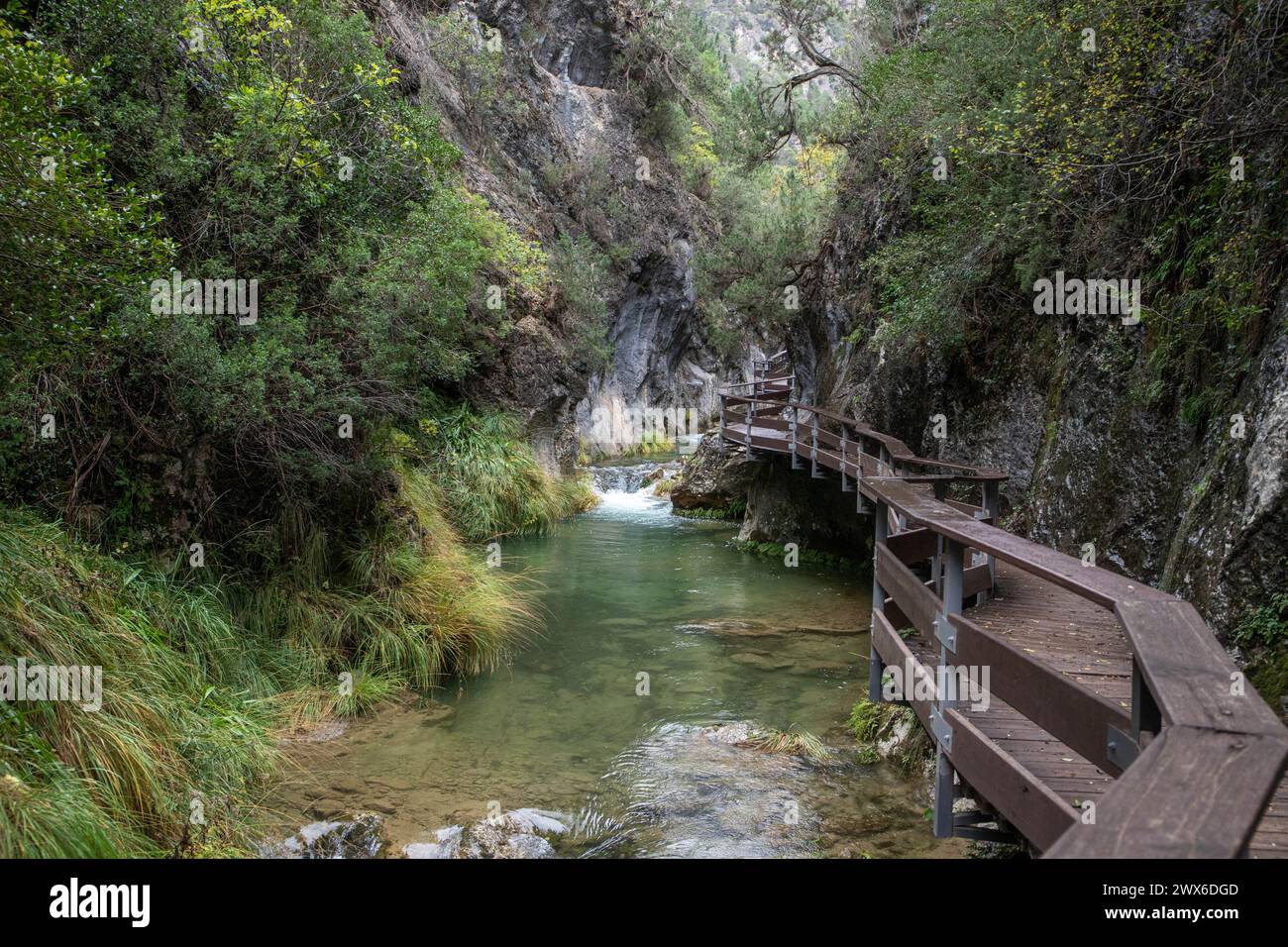 Landscape of a hiking trail along a river Stock Photo - Alamy