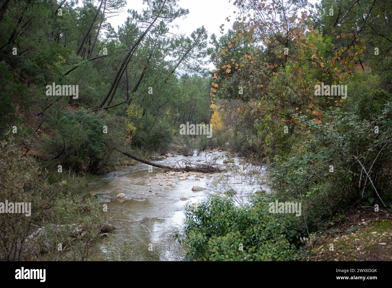Waterfalls along hiking trail hi-res stock photography and images - Alamy