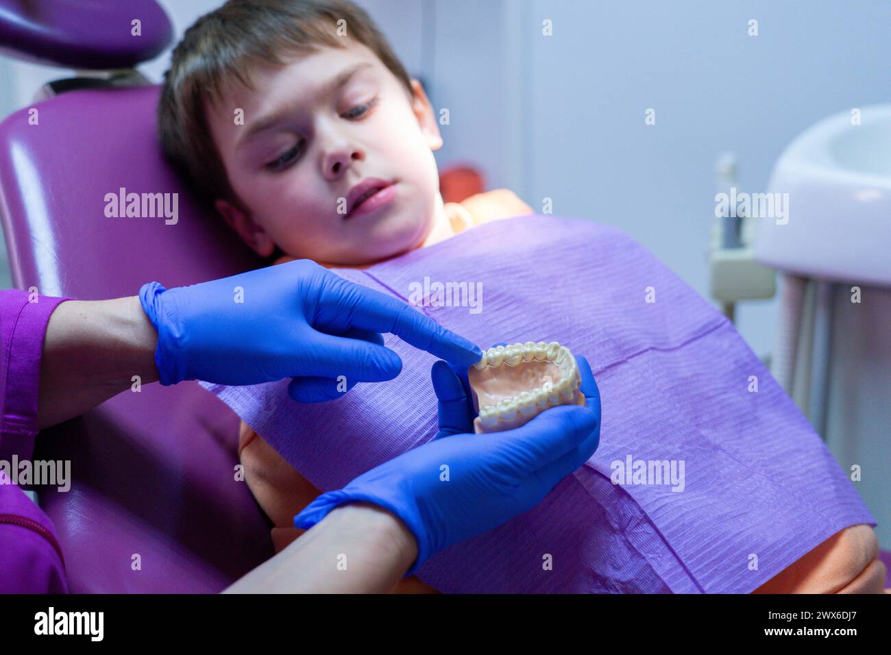 Dentist showing a child the teeth of a denture in the dentist's office ...