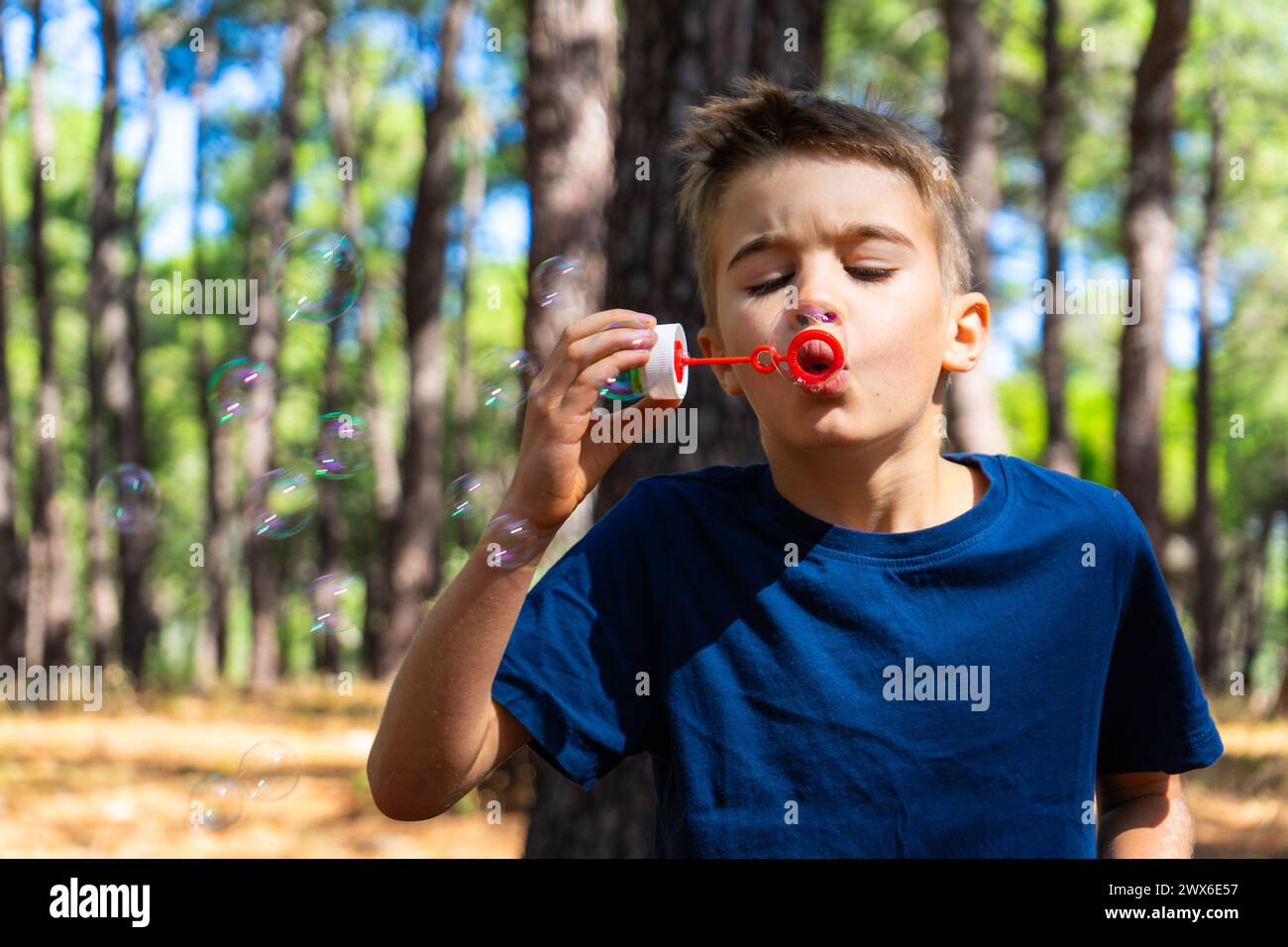 Child blowing bubbles with a bubbler in nature Stock Photo - Alamy