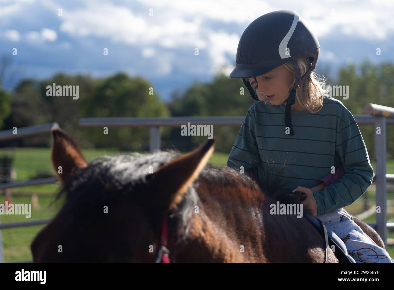 Children learning to ride horses Stock Photo - Alamy