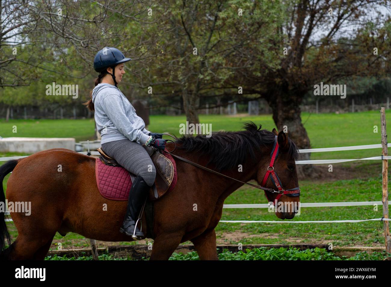 Woman learning to ride a horse Stock Photo - Alamy