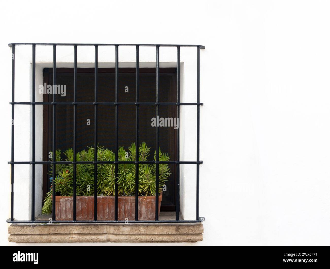 Spanish Window Railing