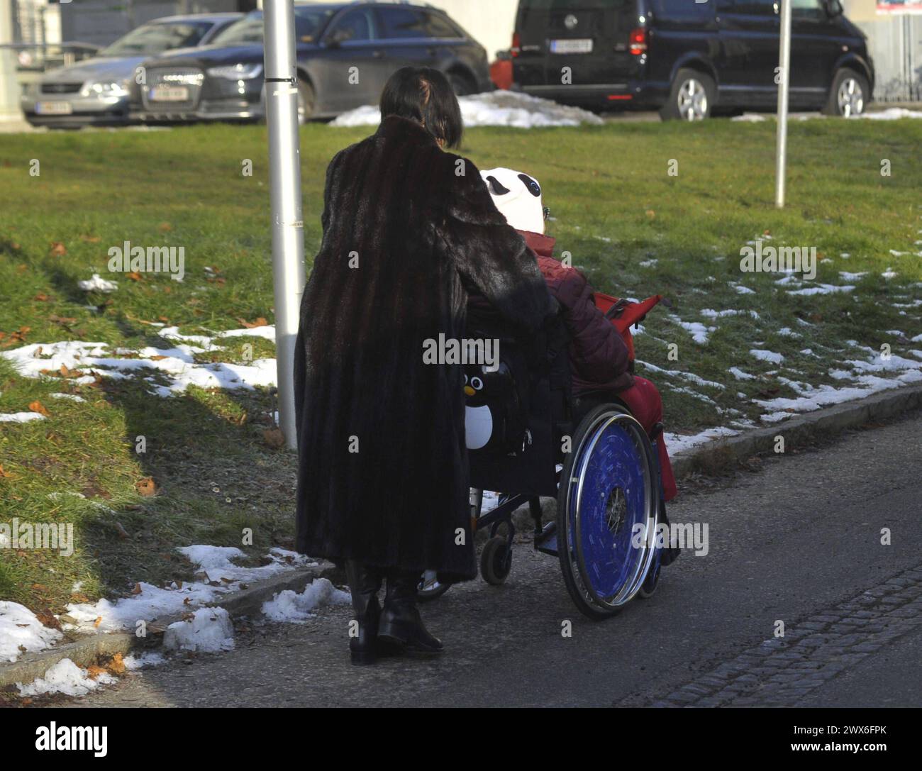 Disability in its various forms as a sign of permanent and serious ...