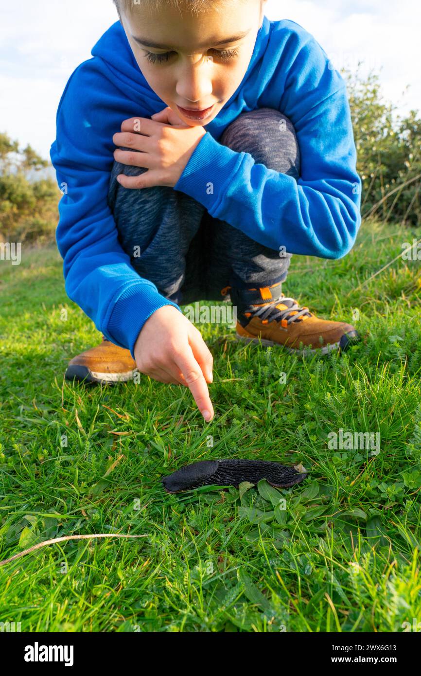 Boy pointing at a big slug in nature Stock Photo - Alamy