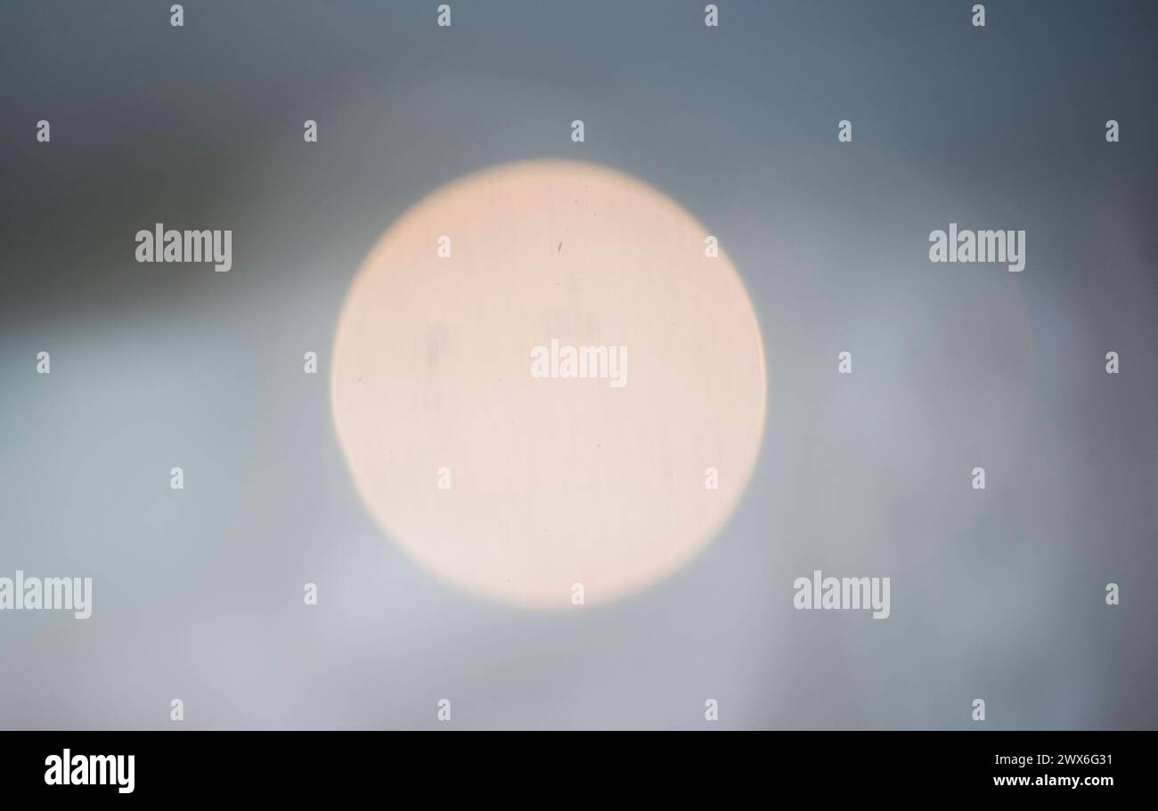 circle or round shaped object, pattern and texture on a surface circle ...