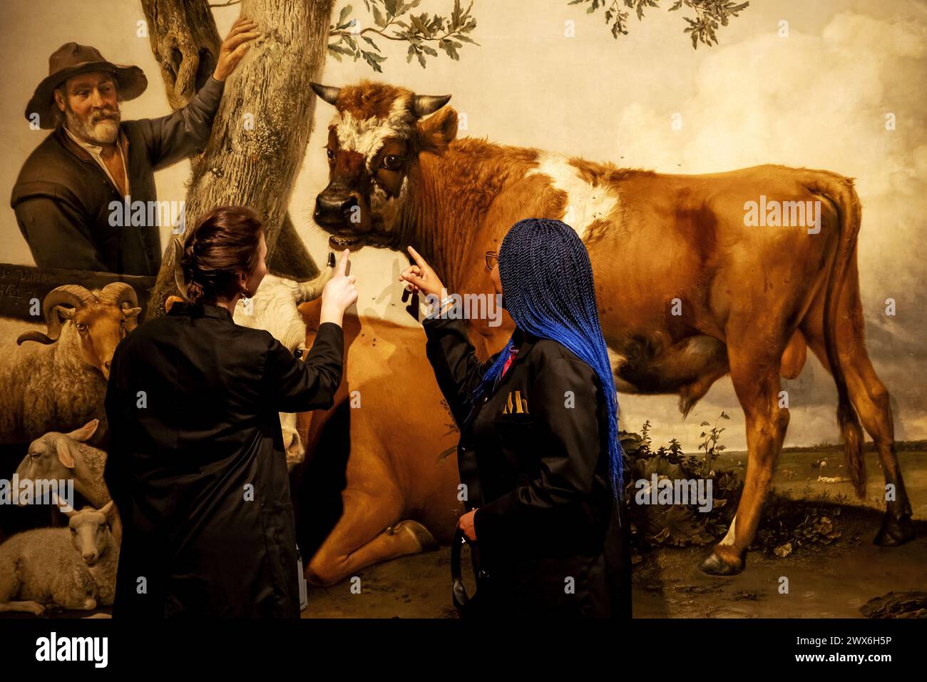 Paul potter de stier hi-res stock photography and images - Alamy