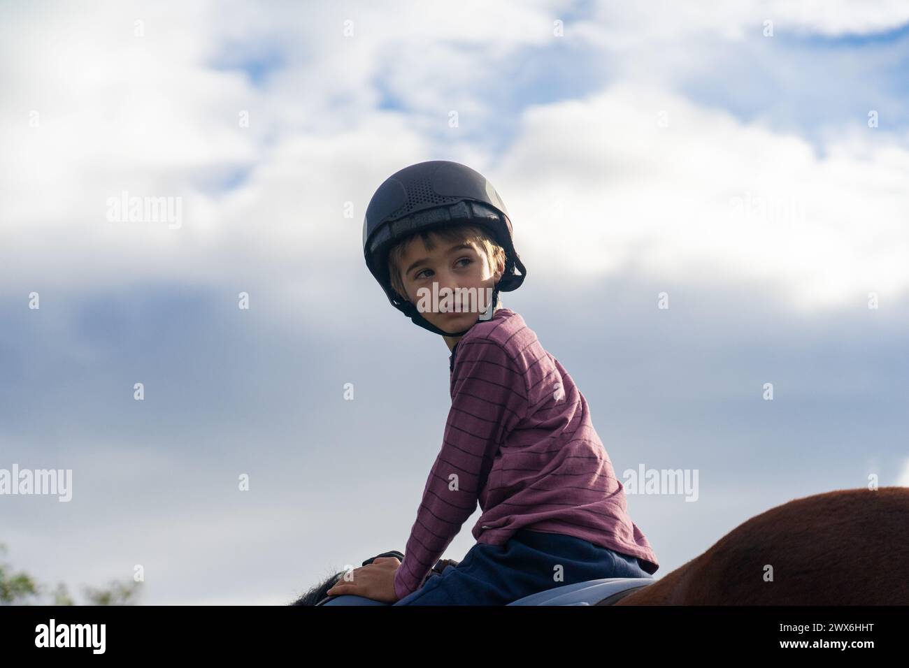 Learning stable hi-res stock photography and images - Alamy