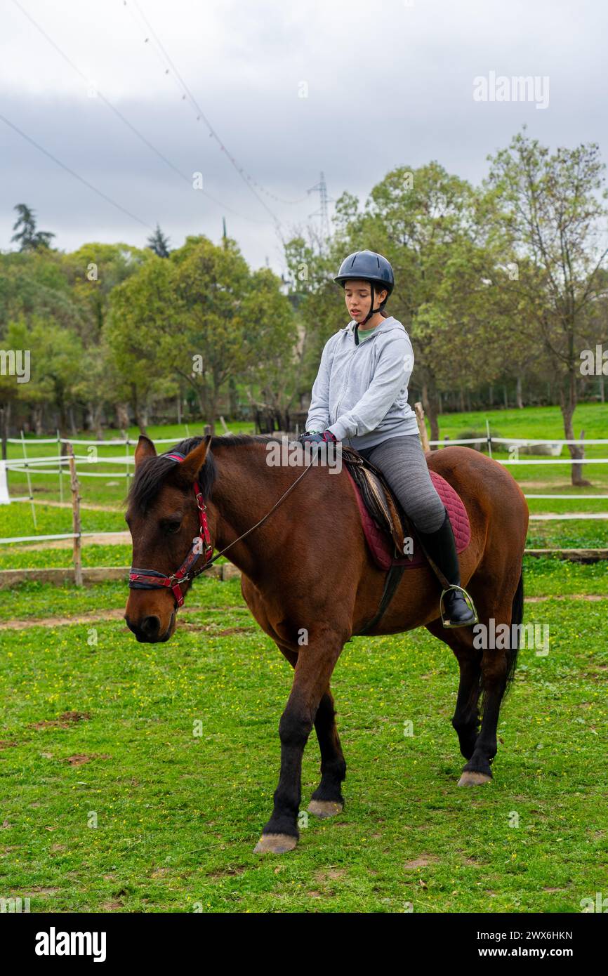 Horse learning arena hi-res stock photography and images - Alamy