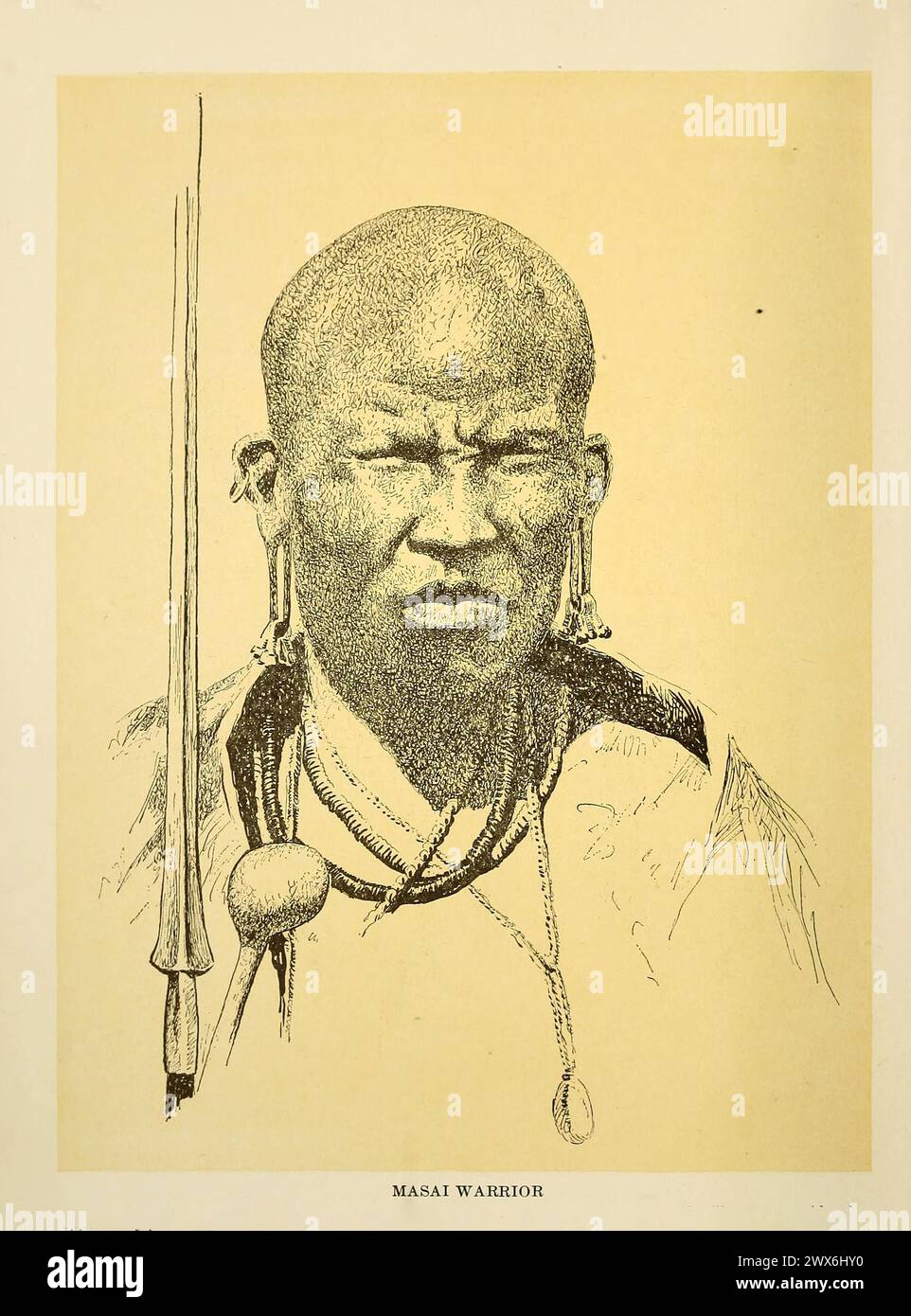 Portrait of Masai Warrior. Vintage Etching of Indigenous habitants of ...