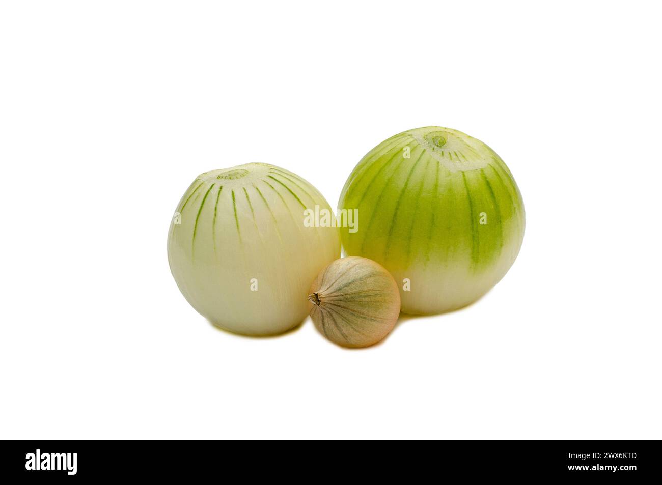 Peeled two onions with a characteristic pattern. And a small onion ...