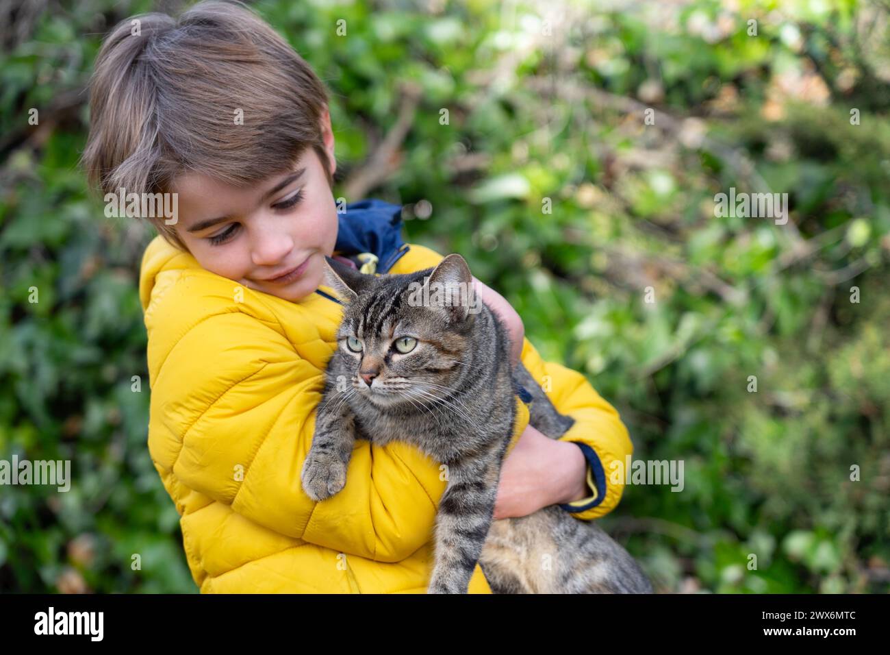 Boy holding his cat in his arms Stock Photo - Alamy
