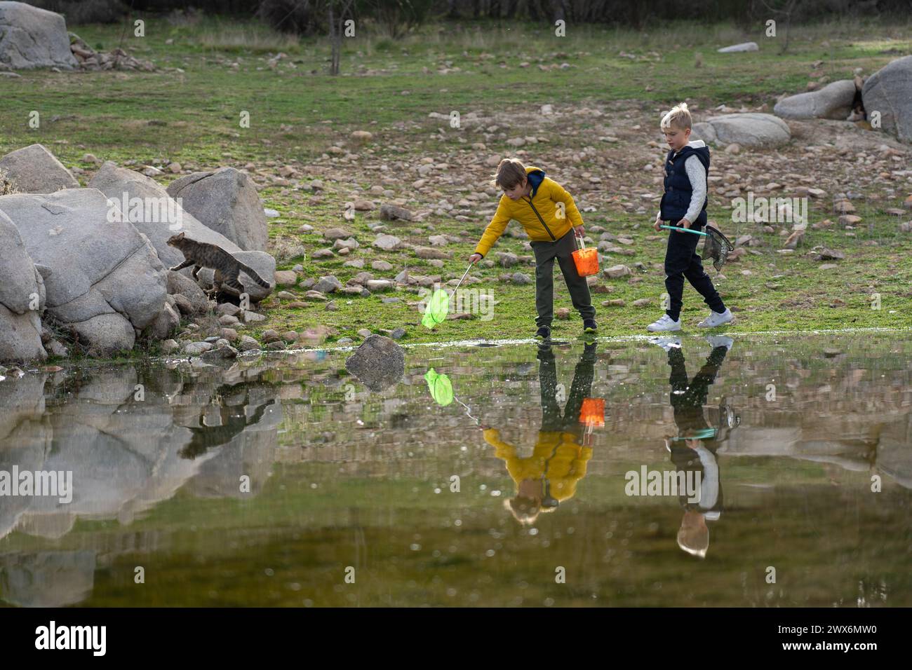 Children fishing net hi-res stock photography and images - Alamy