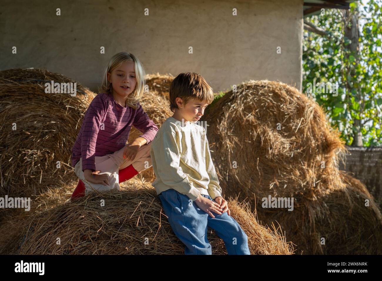 Children sitting on hay bales hi-res stock photography and images - Alamy