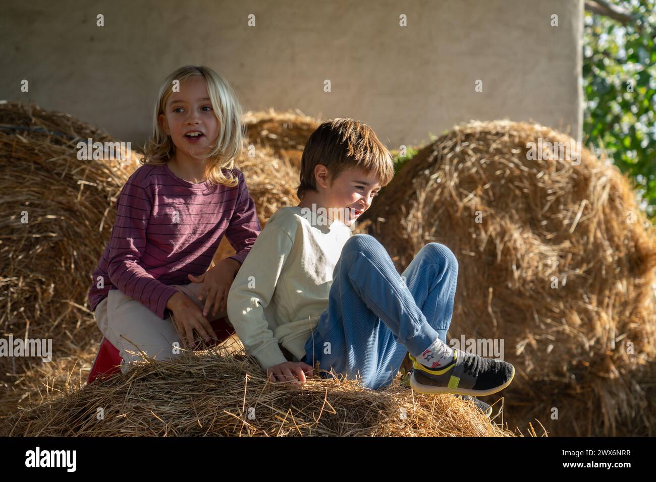 Kids playing on a farm hi-res stock photography and images - Alamy