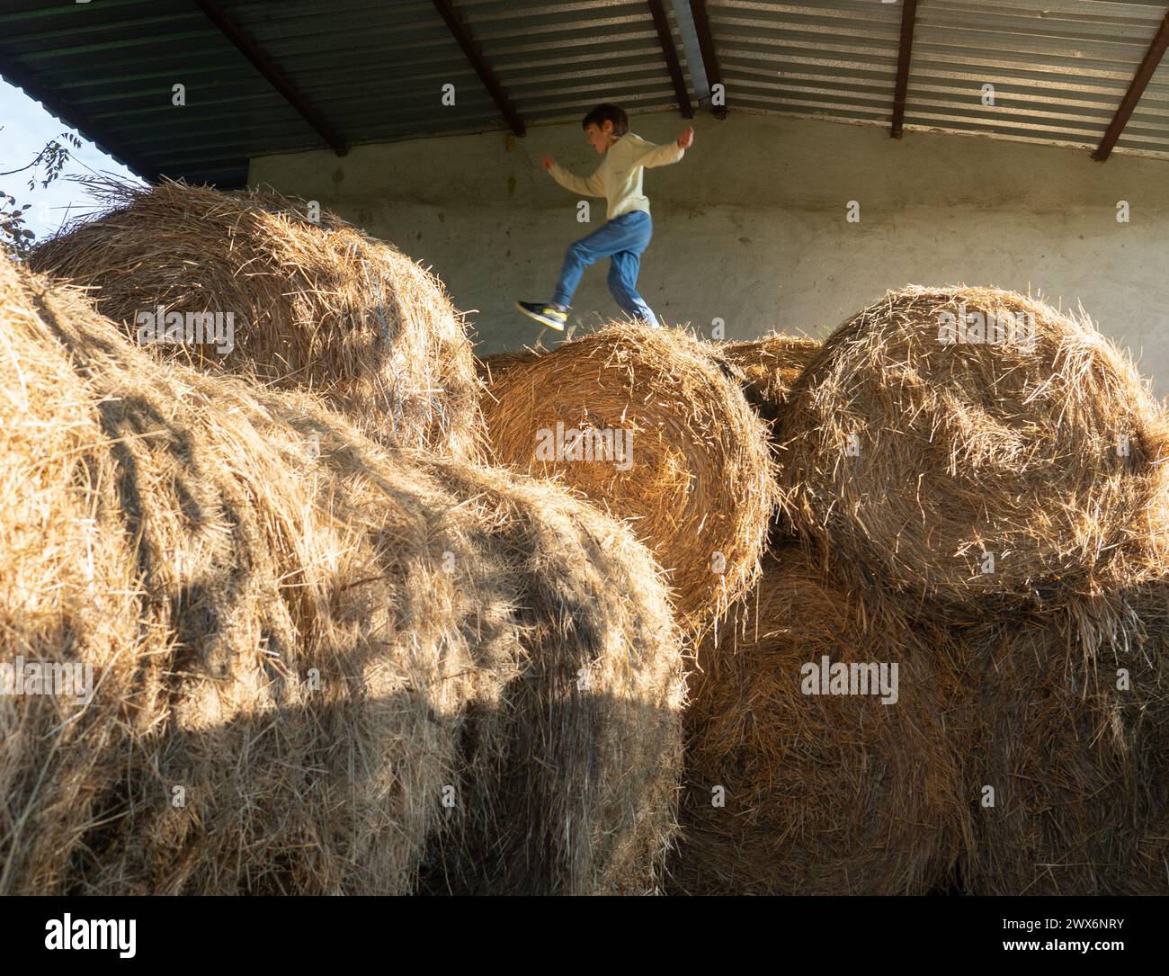 Pile of hay hi-res stock photography and images - Alamy