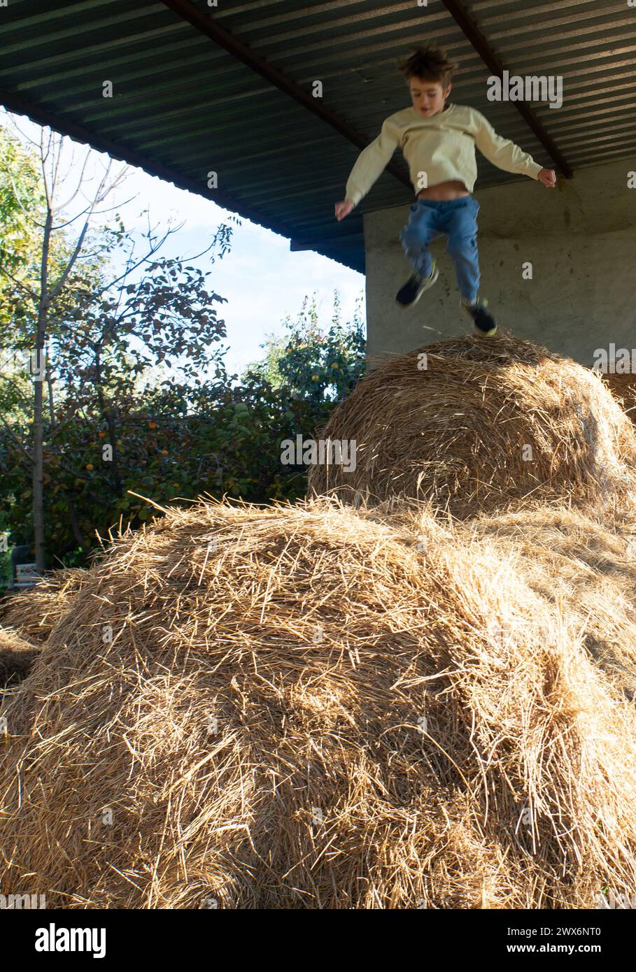 Child jumping on hay in hi-res stock photography and images - Alamy