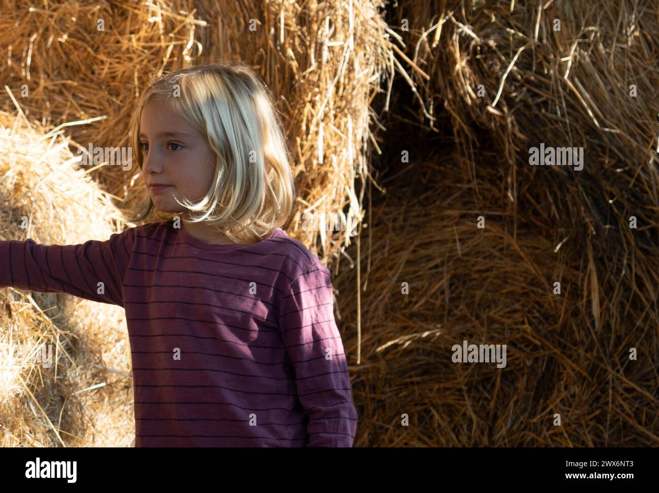 Portrait of a child with hay in the background on a farm Stock Photo ...