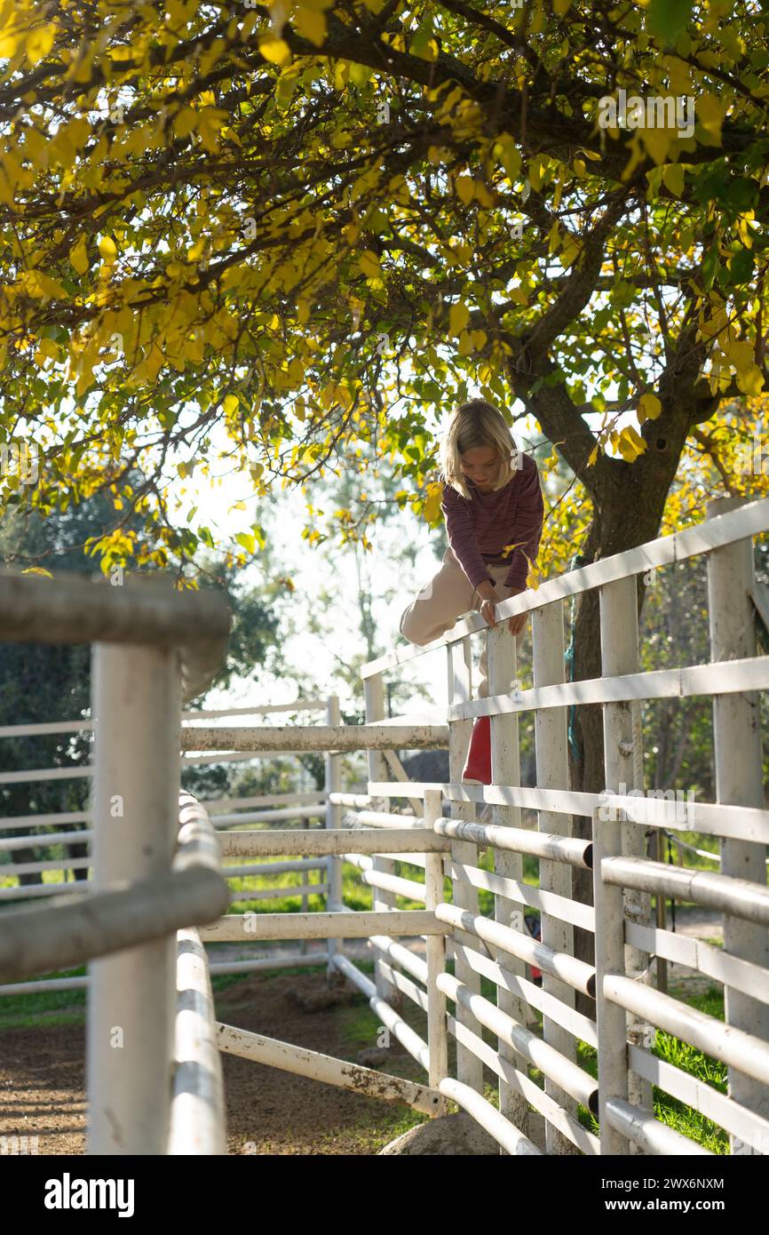 Boy climbing a farm fence Stock Photo - Alamy