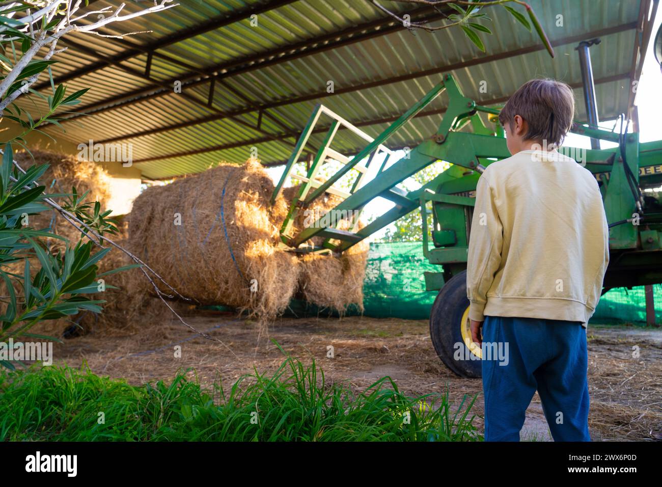 Boy watching a tractor pick up hay Stock Photo - Alamy