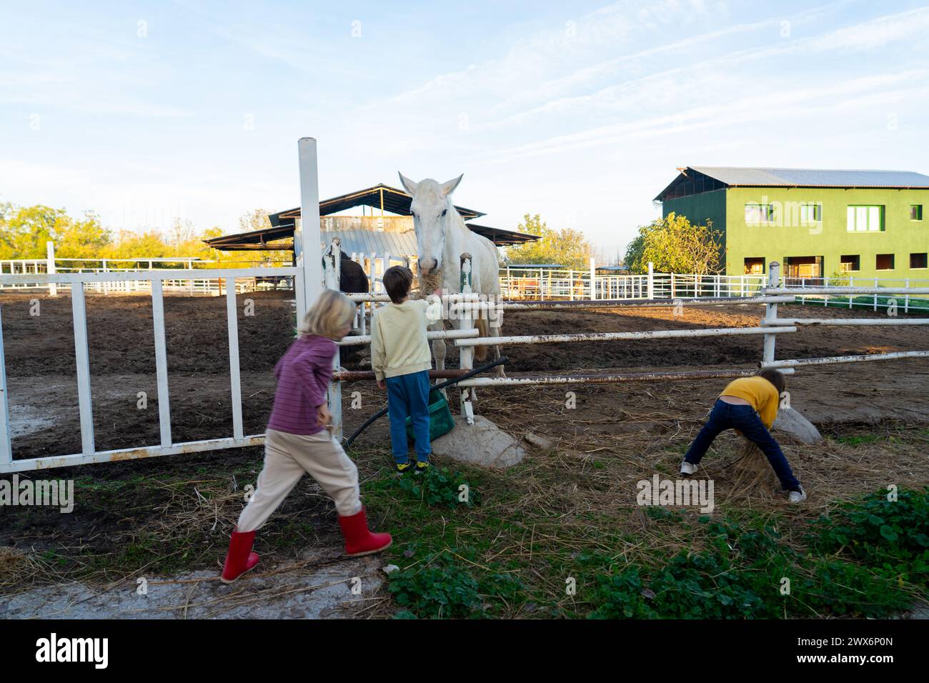 Three children on horse hi-res stock photography and images - Alamy