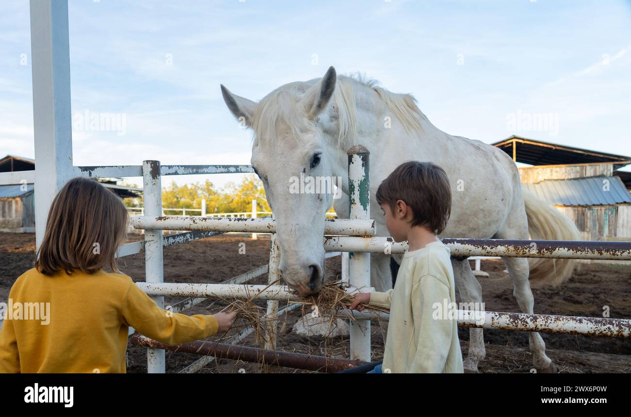 Farm school activity hi-res stock photography and images - Alamy