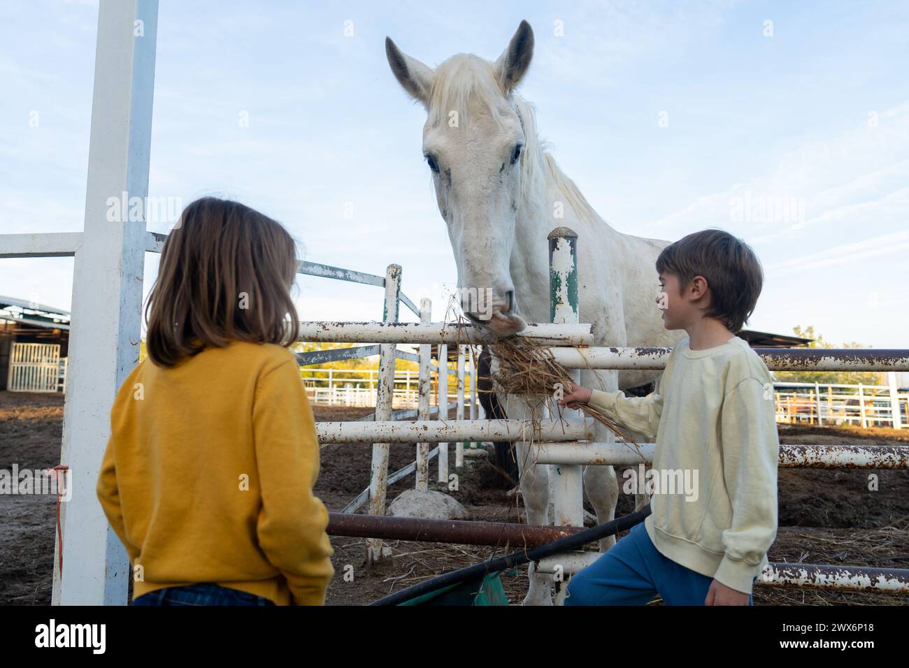 Farm school activity hi-res stock photography and images - Alamy