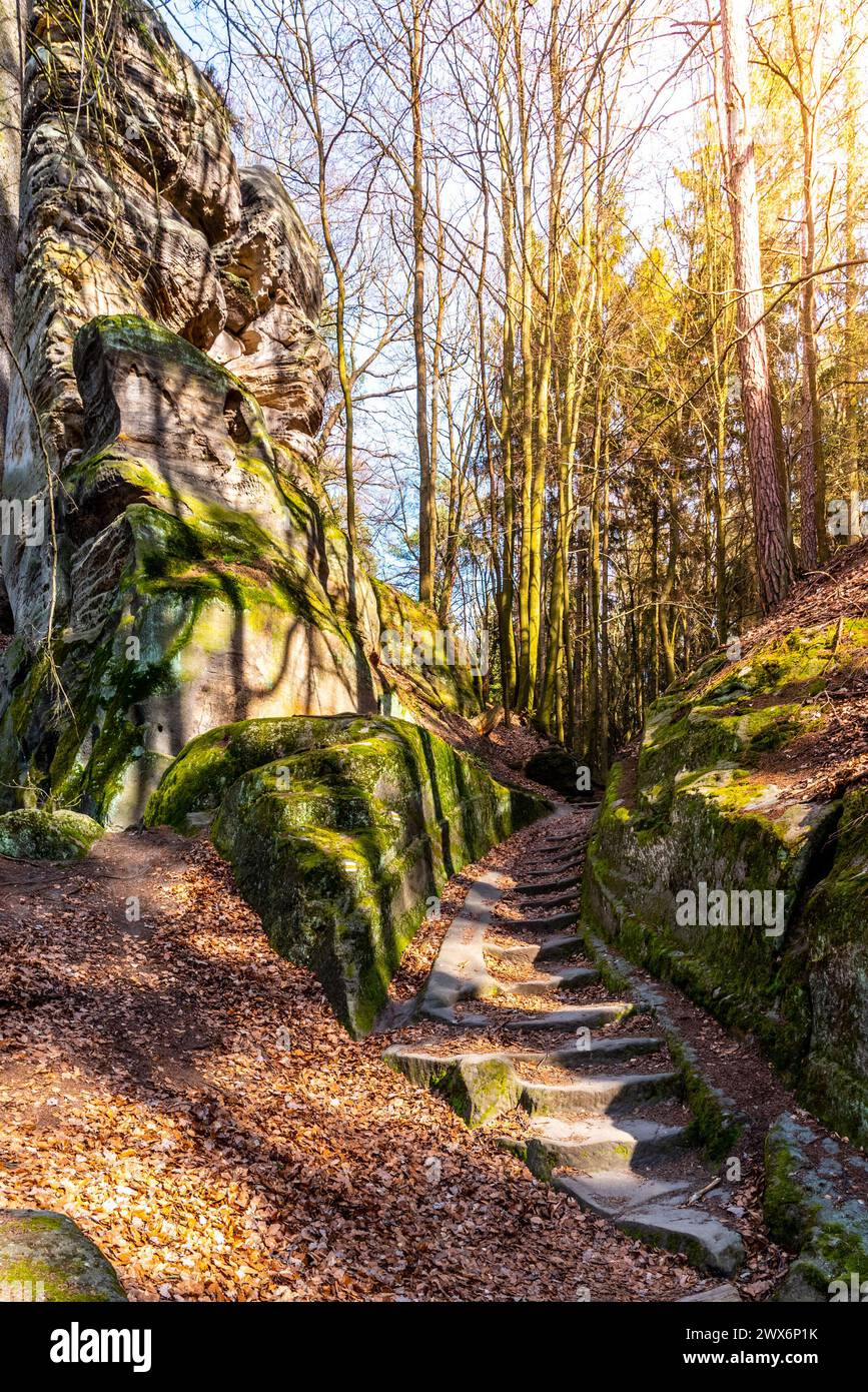 A serene path with stone steps meanders through towering sandstone ...