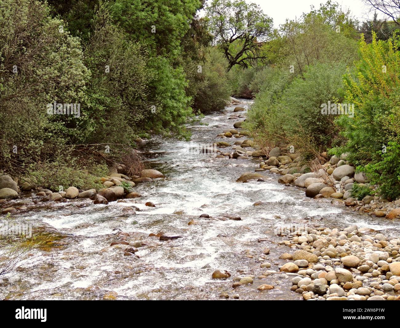 Walking along the cause of the Garganta Santa Maria river, in Candeleda ...