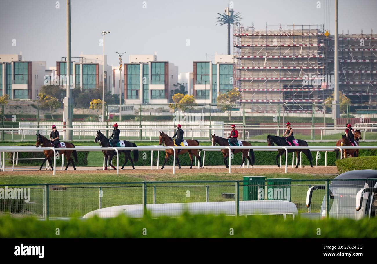 Cairo dubai turf hi-res stock photography and images - Alamy