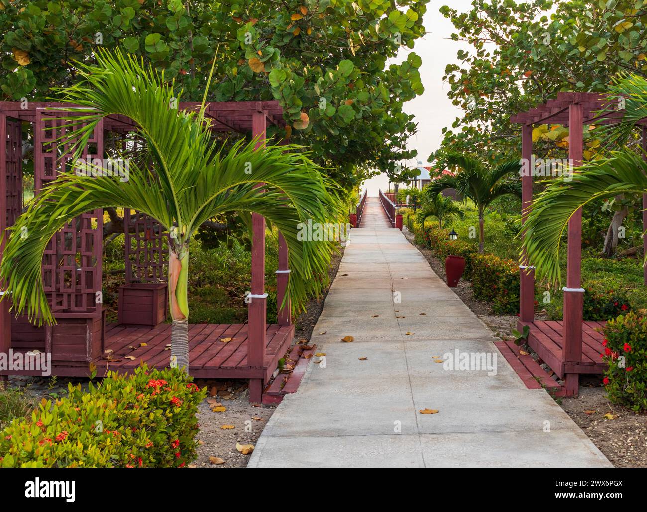 Shot alley in garden hi-res stock photography and images - Alamy
