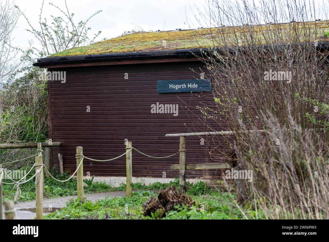 Birdwatchers collection hi-res stock photography and images - Alamy