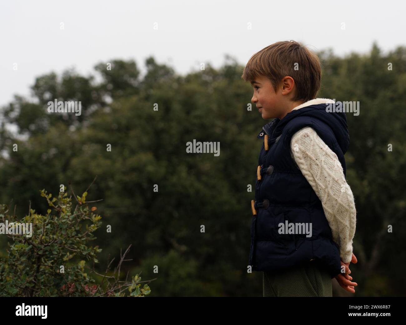 Boy in nature in profile looking at the horizon Stock Photo - Alamy