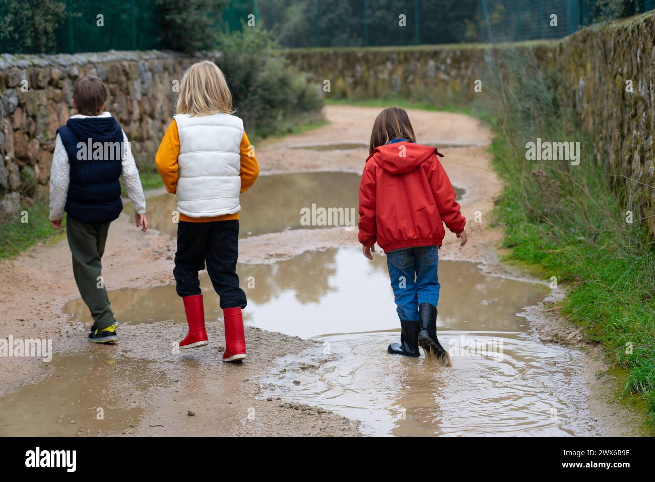 Three children walking along a path with puddles Stock Photo - Alamy