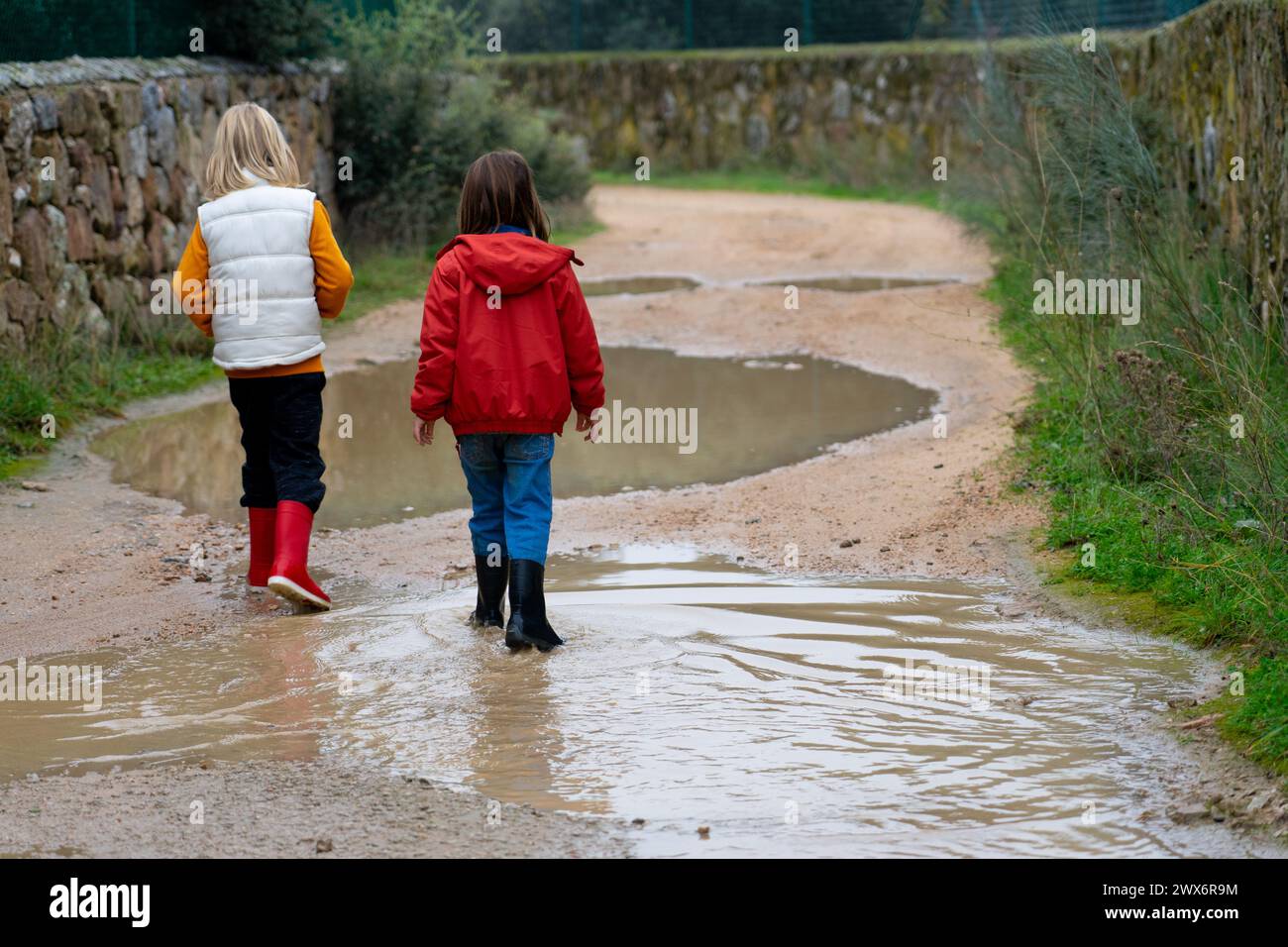 Children walking along a path full of puddles Stock Photo - Alamy