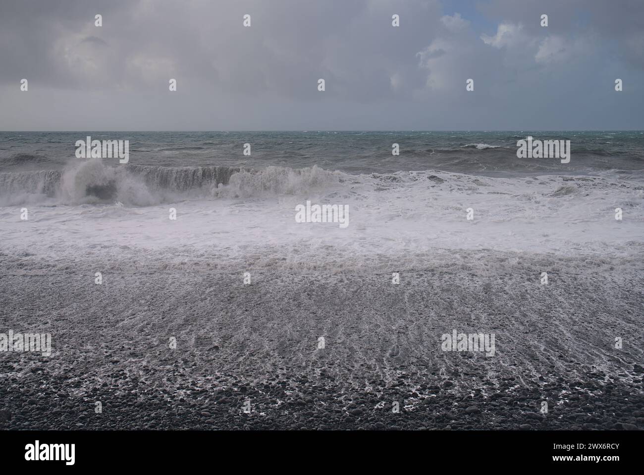 Madeira shells hi-res stock photography and images - Alamy