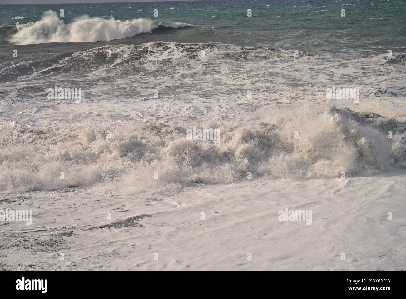Madeira shells hi-res stock photography and images - Alamy