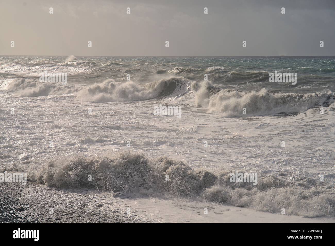 Madeira shells hi-res stock photography and images - Alamy