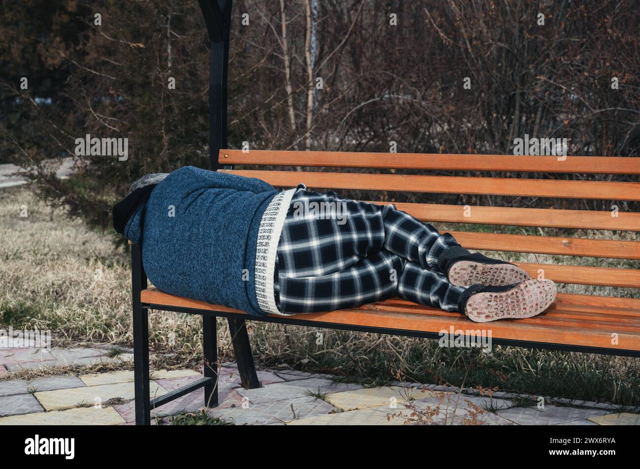 homeless elderly old man lies sleeping on a park bench in autumn Stock ...