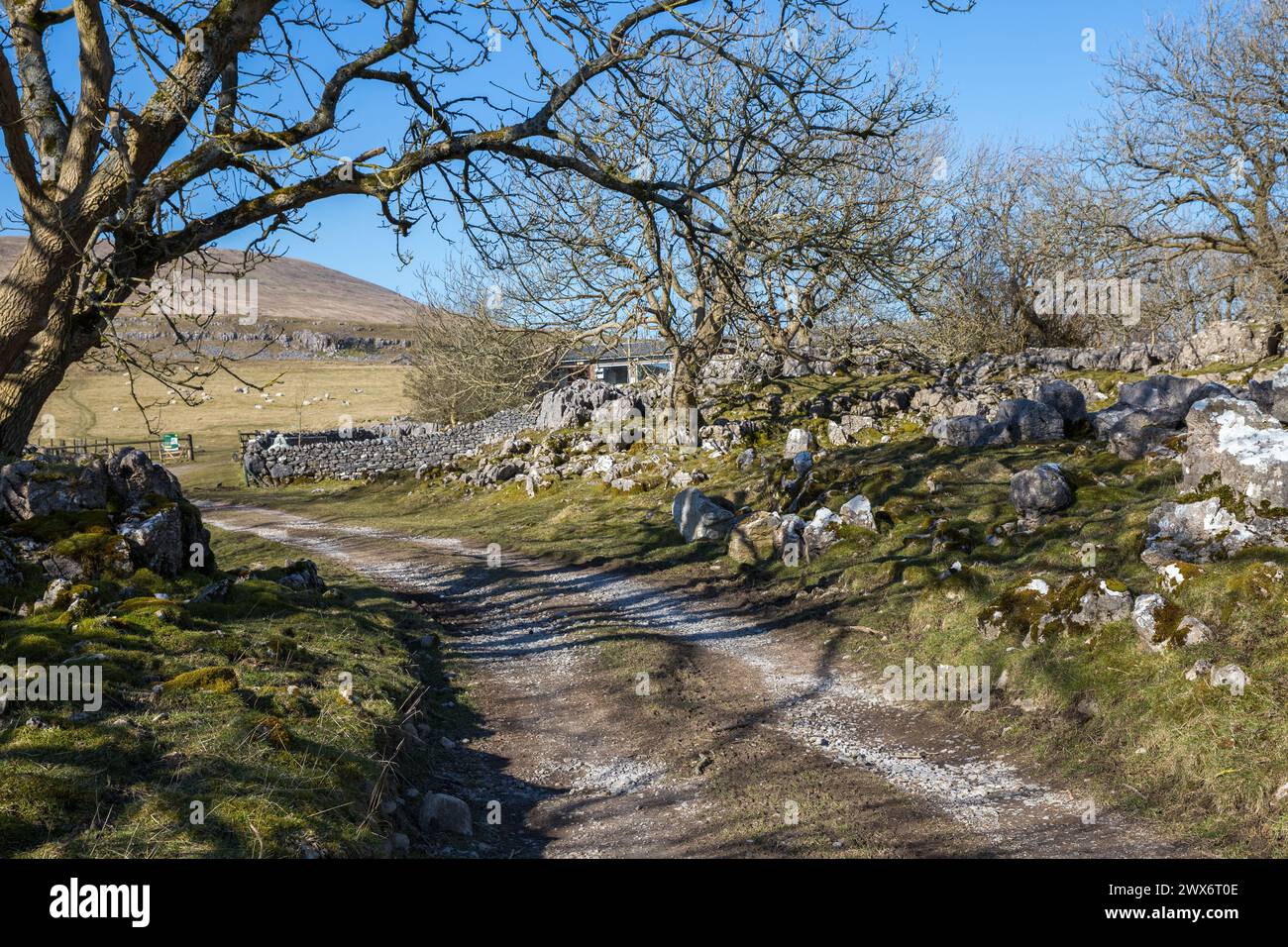 A rough farm track in the North Yorkshire countryside leading into the ...